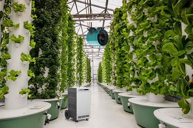 Improving Vertical Farming Efficiency: Strategies for Dehumidification ...